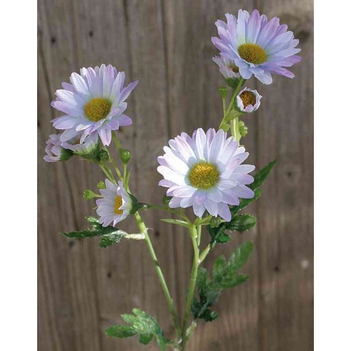 Flor de margarita de plástico LIDIA, violeta, 45cm