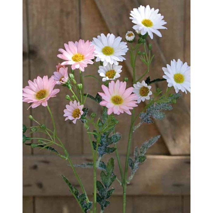 Flor de margarita de plástico LIDIA, blanca, 45cm