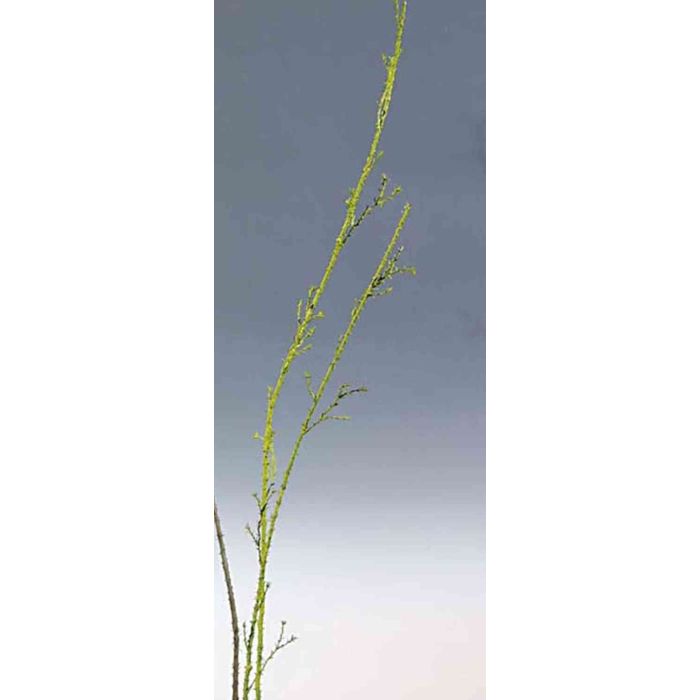 Rama de espinas de rosa artificial WINSTON, verde, 155cm