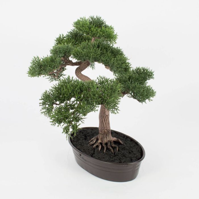 Bonsái artificial de cedro COLLIN con raíces, en maceta, 40cm