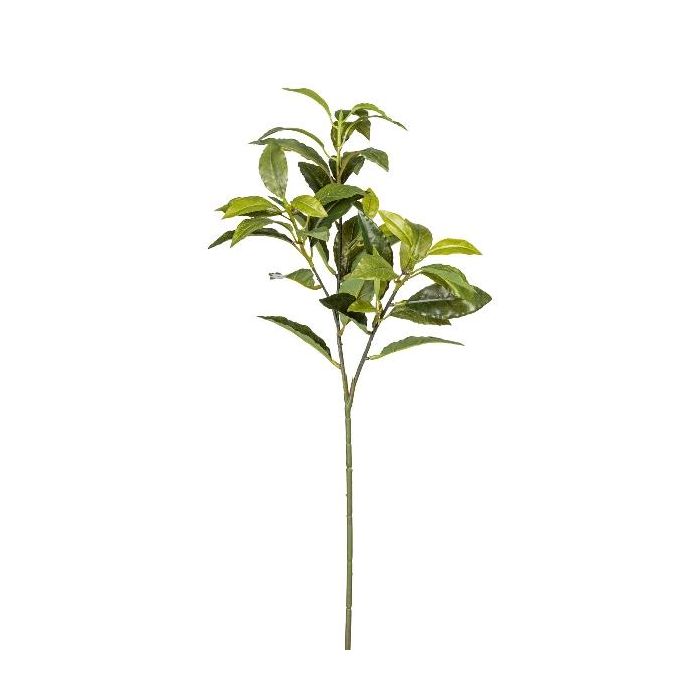 Rama artificial laurel KROVAN, verde, 65 cm