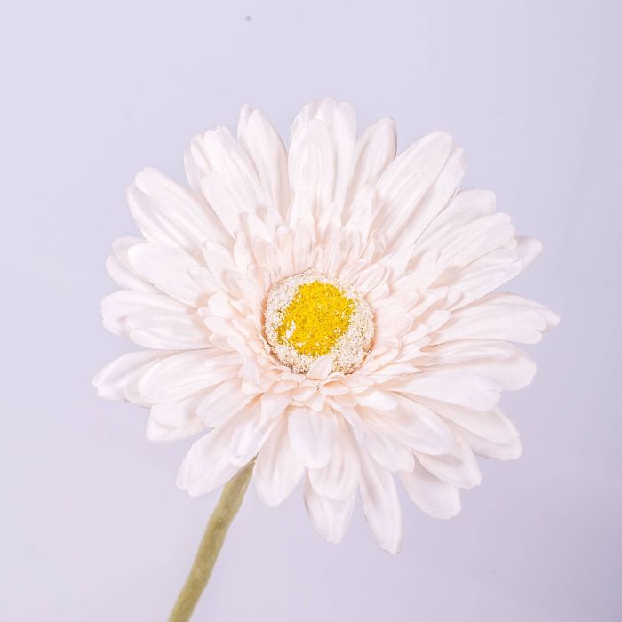 Gerbera con tallo sintética LUCILLA, crema-rosa, 60cm, Ø11cm - Flores ...