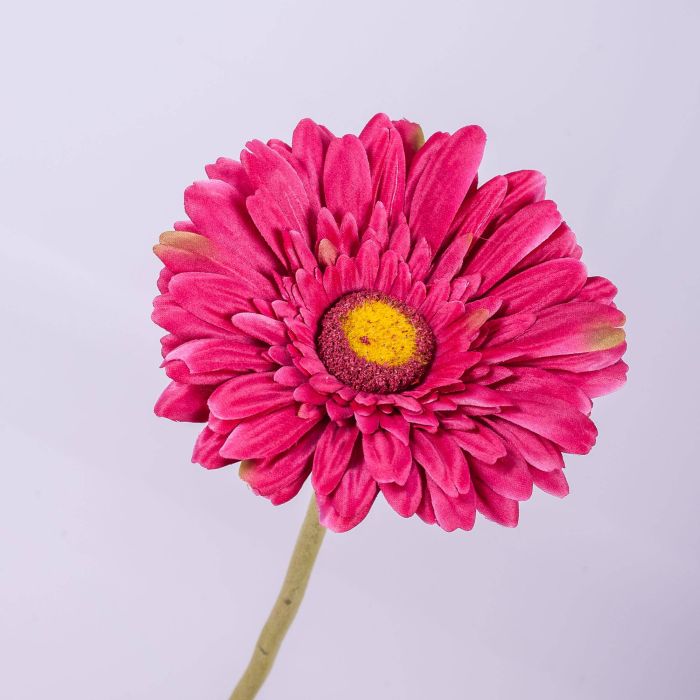 Gerbera con tallo sintética LUCILLA, fucsia, 60cm, Ø11cm - Flores ...