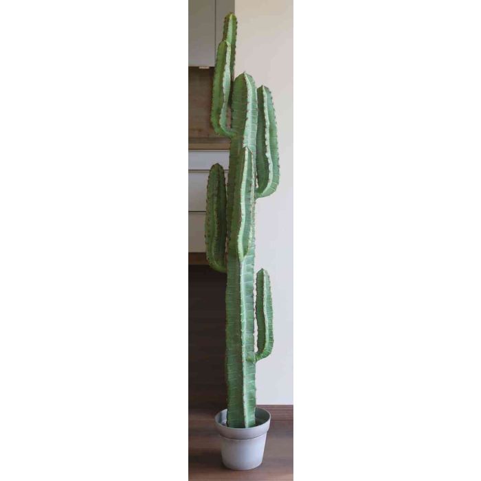 Cactus columnar sintético OLIVERO, en tiesto decorativo, verde, 160cm ...