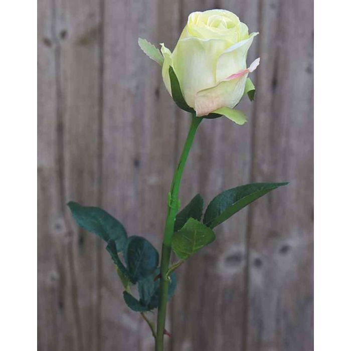 Rosa artificial SAPINA, crema-verde, 60cm, Ø6cm