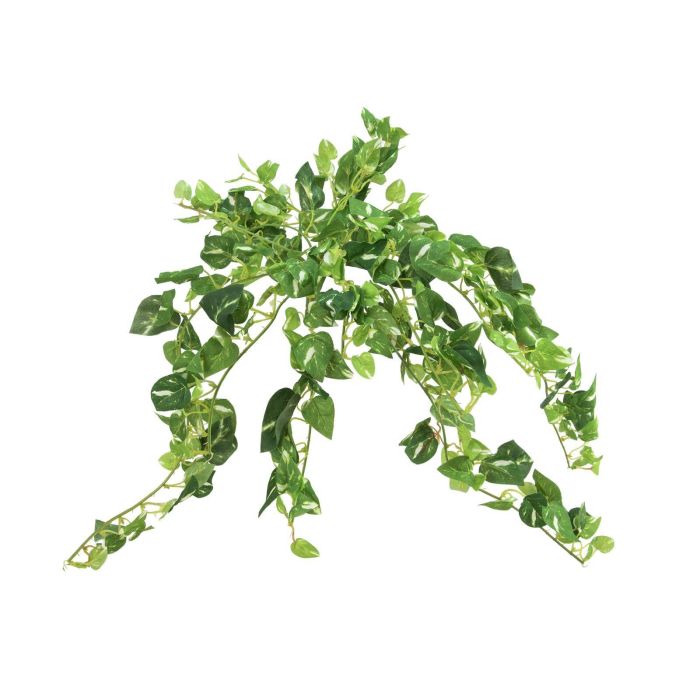 Enredadera de poto de plástico PIETE, vara de fijación, verde, 50cm ...