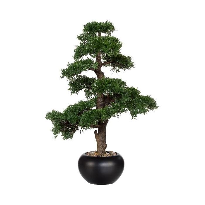 Árbol artificial bonsái cedro FALKE con raíces, maceta de cerámica, 70 cm