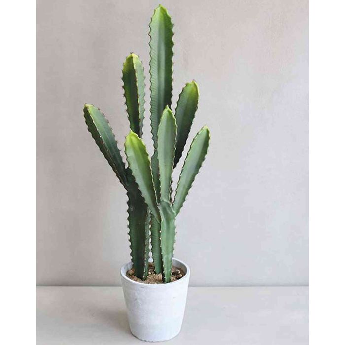 Cactus columnar de plástico CLYDE en maceta de hormigón, verde, 55cm