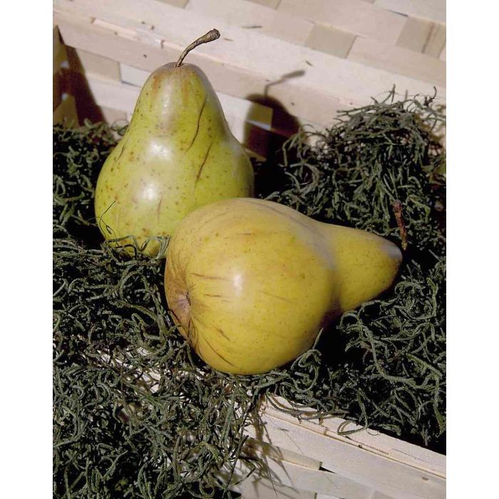 Pera de plástico BELANA, verde-marrón, 10cm, Ø8cm